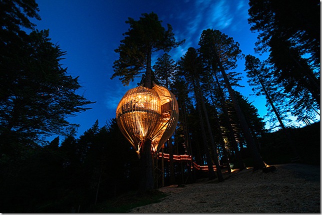 DesignTies: A Treehouse in an Enchanting Forest